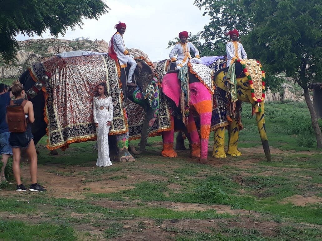 Hathi Gaon Jaipur : Ticket Price, Timing, Contact Number - Hotel ...